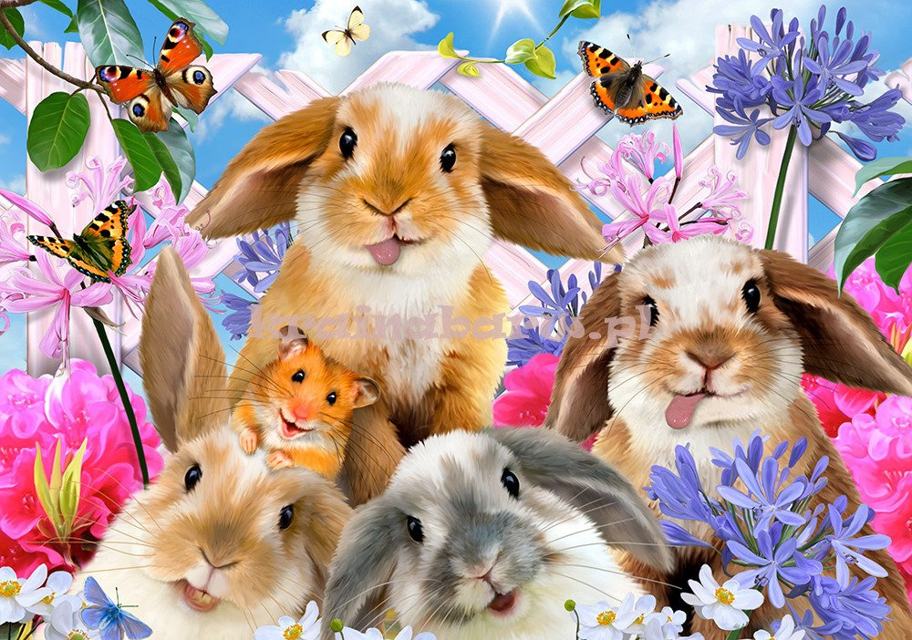 Fototapeta 12874 Króliczki | FOTOTAPETY \ FOTOTAPETY ZWIERZĘTA ...